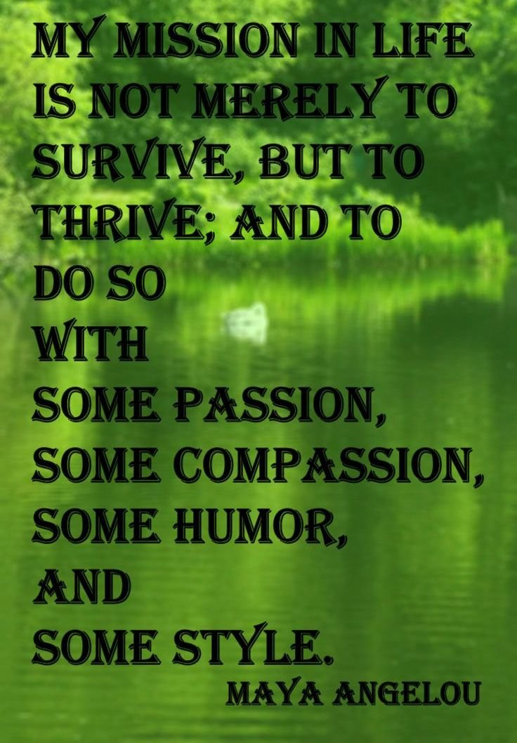 15 Life Inspiration Quotes - Instaloverz