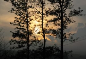 15 Nature Inspiration ideas For You To Explore And Stay Motivated