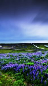 100 Best iPhone Wallpapers You Must Have It - Instaloverz