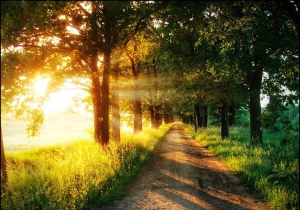 15 Nature Inspiration ideas For You To Explore And Stay Motivated