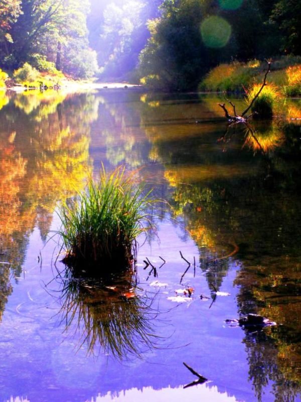 15 Nature Inspiration ideas For You To Explore And Stay Motivated