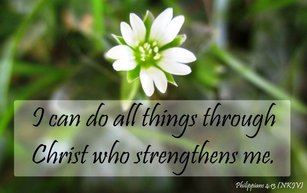 25 Amazing Bible Verses Inspiration - Instaloverz