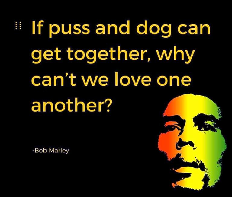 20 Bob Marley Quotes To Inspire You - Instaloverz