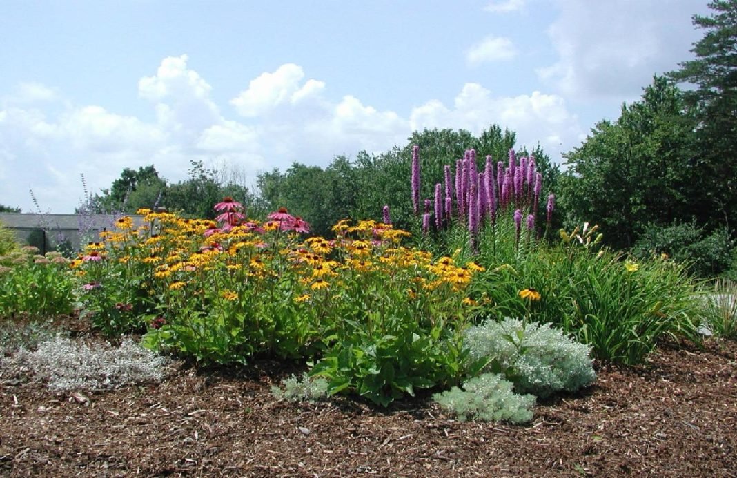 20 Stunning Landscape Ideas For You To Get Inspire From - Instaloverz